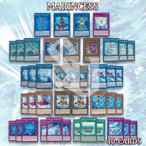MARINCESS DECK 40 | Anemone Marbled Blue Tang Slug Sea Horse Pascalus 🌊 ...