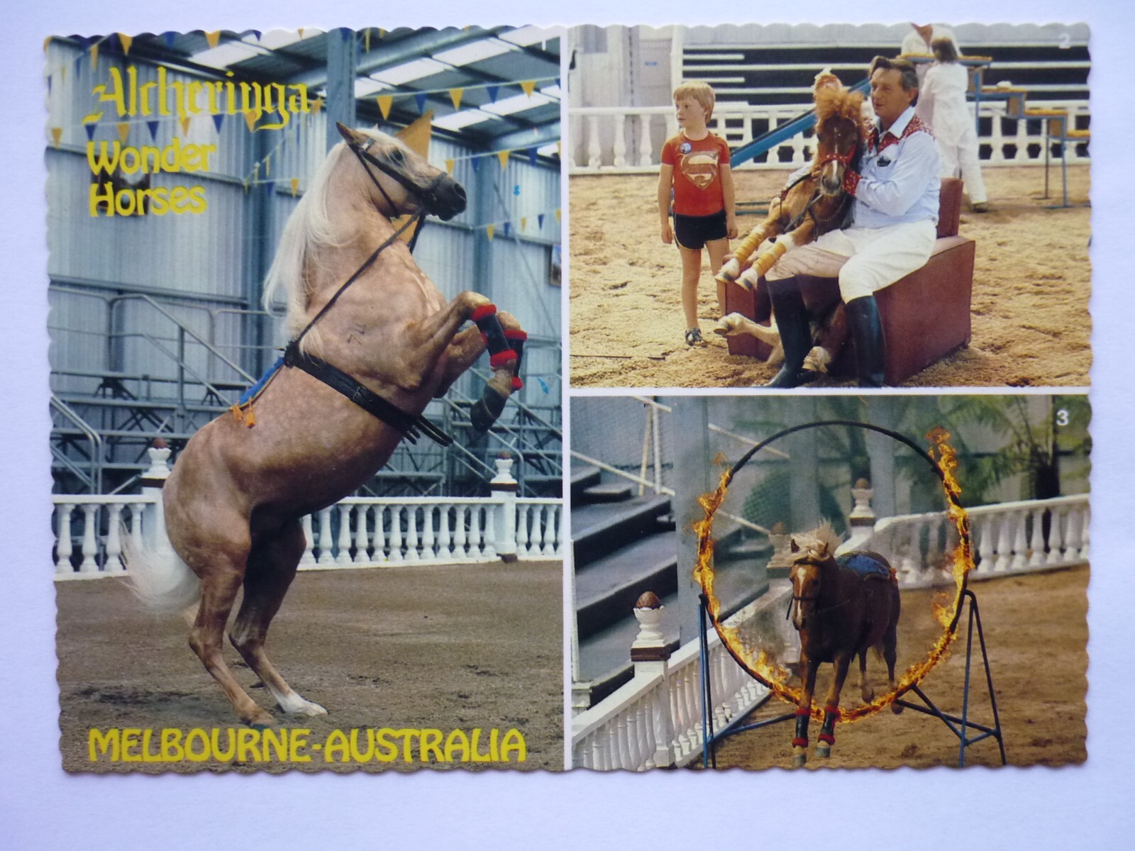 1980's POSTCARD MELBOURNE SHOWGROUNDS EPSOM ROAD ALCHERINGA WONDER ...