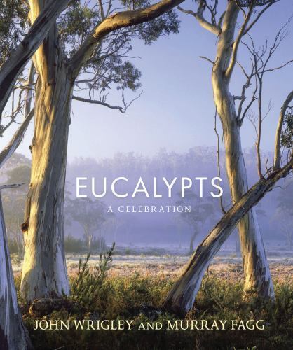 Eucalypts : A Celebration by John Wrigley and Murray Fagg (2010 ...