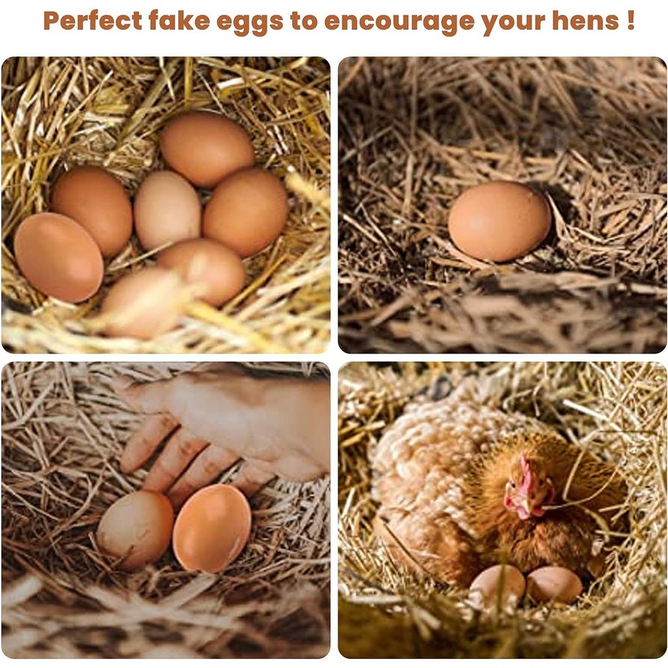 6PCS Fake Wooden Chicken Eggs Help Hen Lay Eggs Agricultural Tool for ...