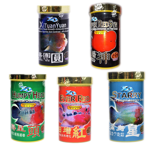 XO Super RedSyn Humpy Head Ever Red Starry XiTuanYuan Flowerhorn Fish ...