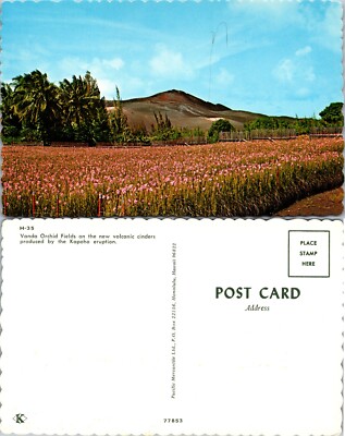 Hawaii Vanda Orchid Fields Volcanic Cinders Kapoho Eruption Flowers ...