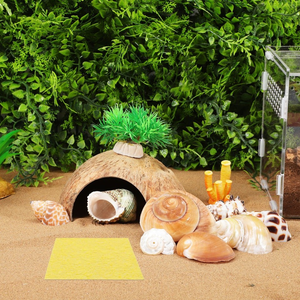 20 Pcs Water Providing Sponge Humidity Sponges Fish Tank Supplies | eBay UK