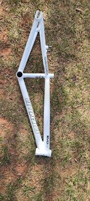 Bicycle Frames - Expert Frame - Nelo's Cycles