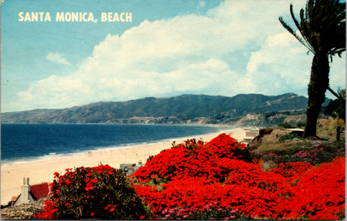 Santa Monica Beach Paalisades Park California Postcard | eBay