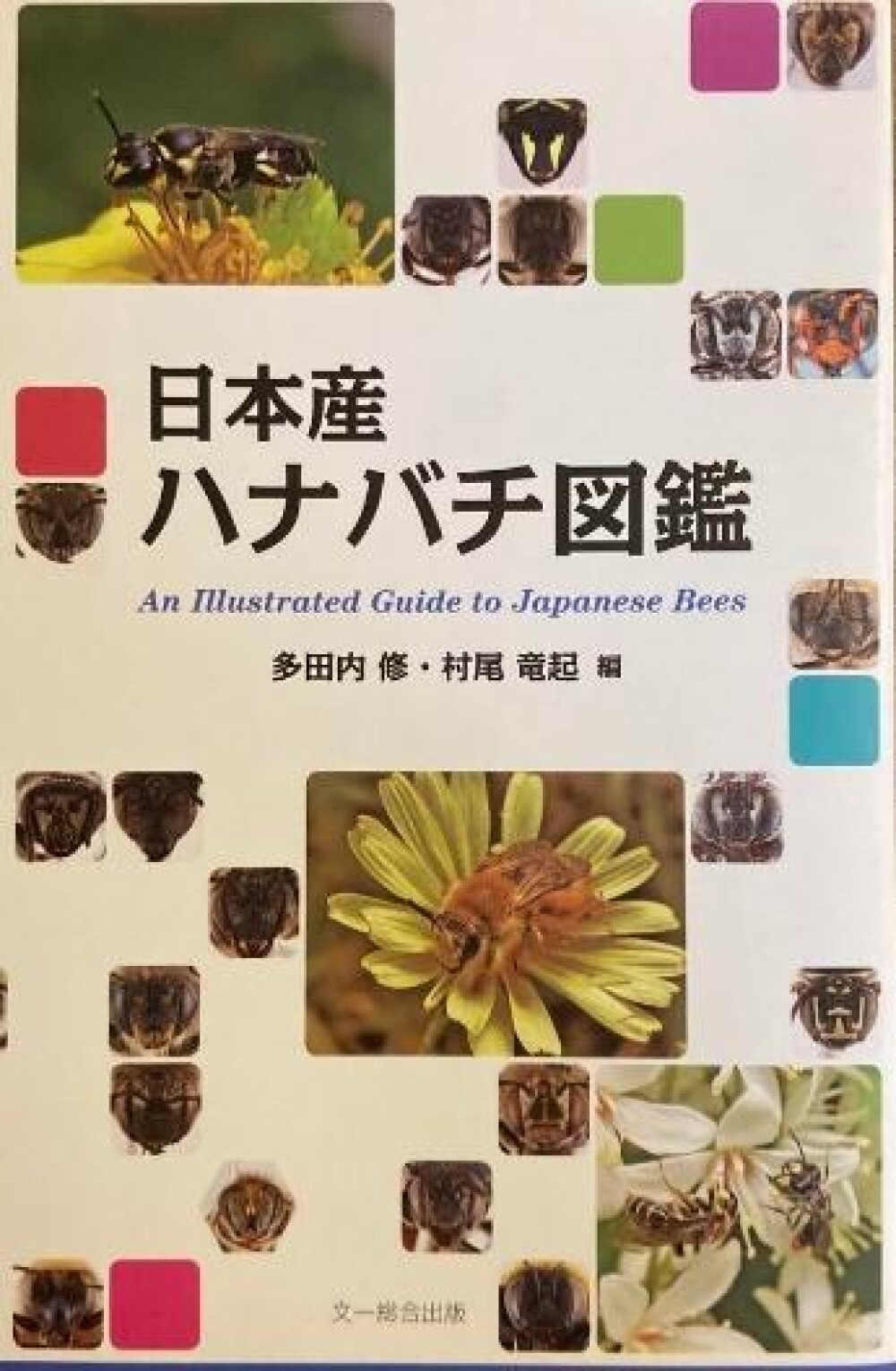 Japanese Bees Encyclopedia An illustrated guide Picture Book | eBay