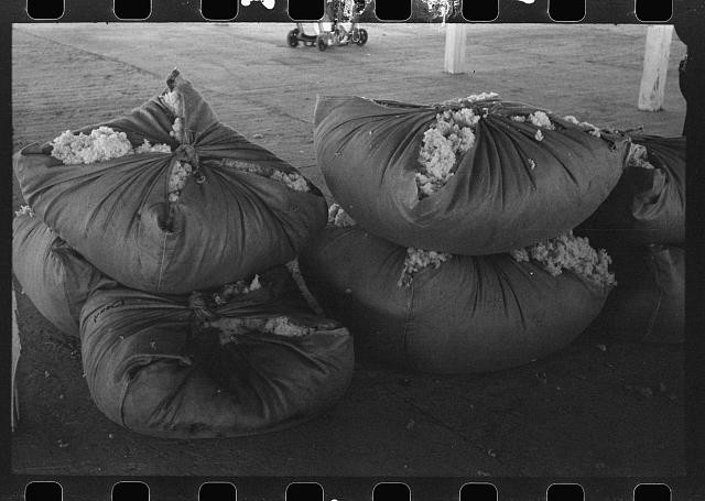 Farm Security Administration,FSA,wool scouring plant at San Marcos ...