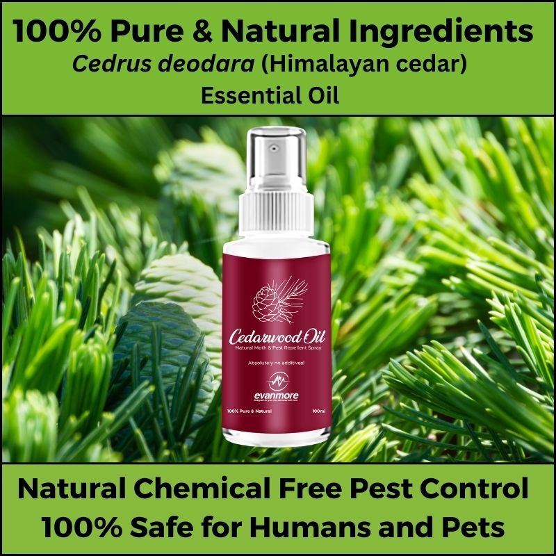 Cedarwood Oil Clothes Moth Pest Repellent Spray Natural Safe Repeller ...