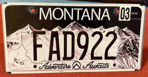 Montana MT License Plate Specialty ADVENTURE AWAITS Vintage Number Tag ...