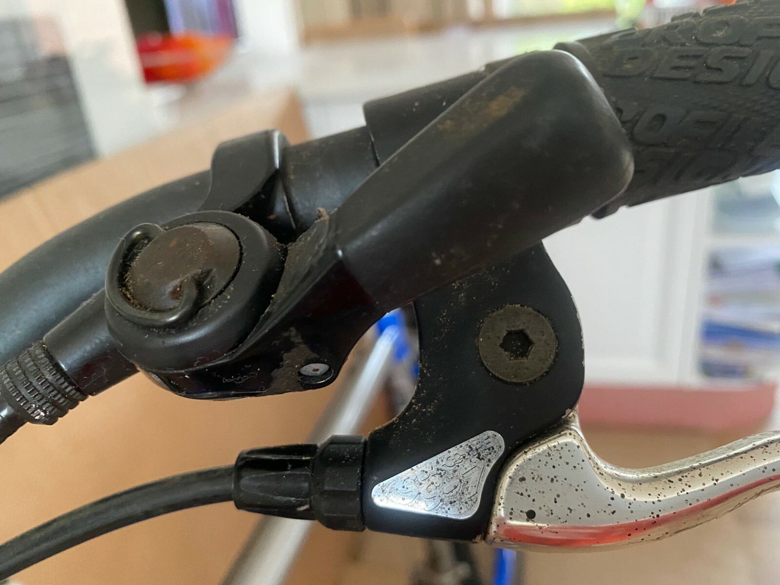 Raleigh Dynatech OGRE XCE Titanium Retro Mountain Bike | eBay UK