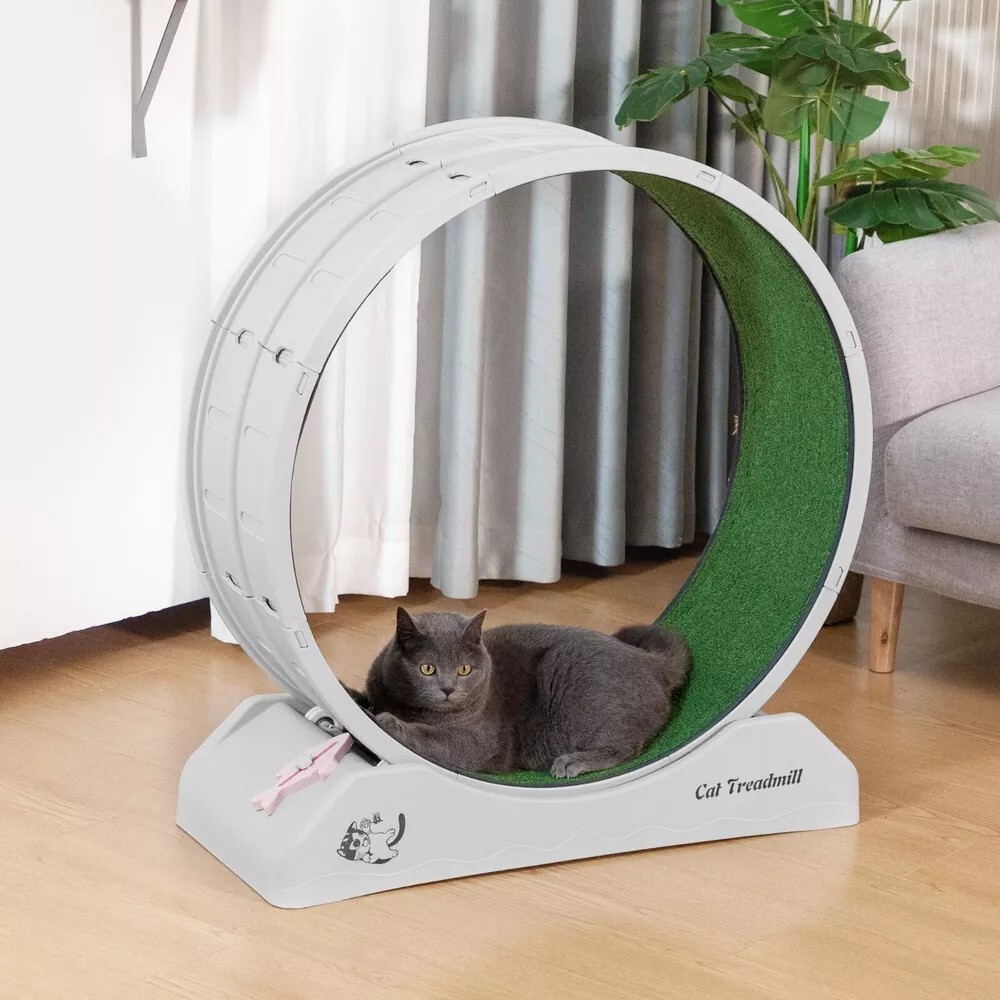 Cat Exercise Wheel Plastic Running Wheel Cat Toys Indoor Cat Treadmill ...