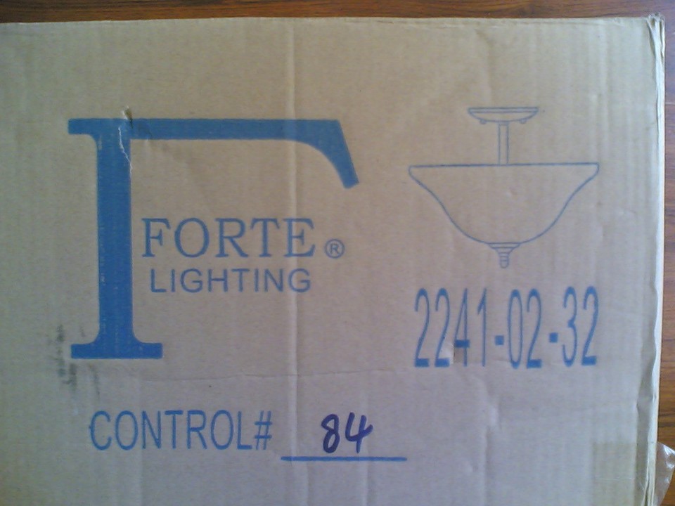 NIB Nice Forte-Lighting Semi-Flush Mount 2-Bulbs CEILING LIGHT (2241-02 ...