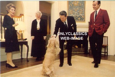 PRESIDENT RONALD REAGAN GEORGE HW BUSH BARBARA, NANCY DOG WHITE HOUSE ...
