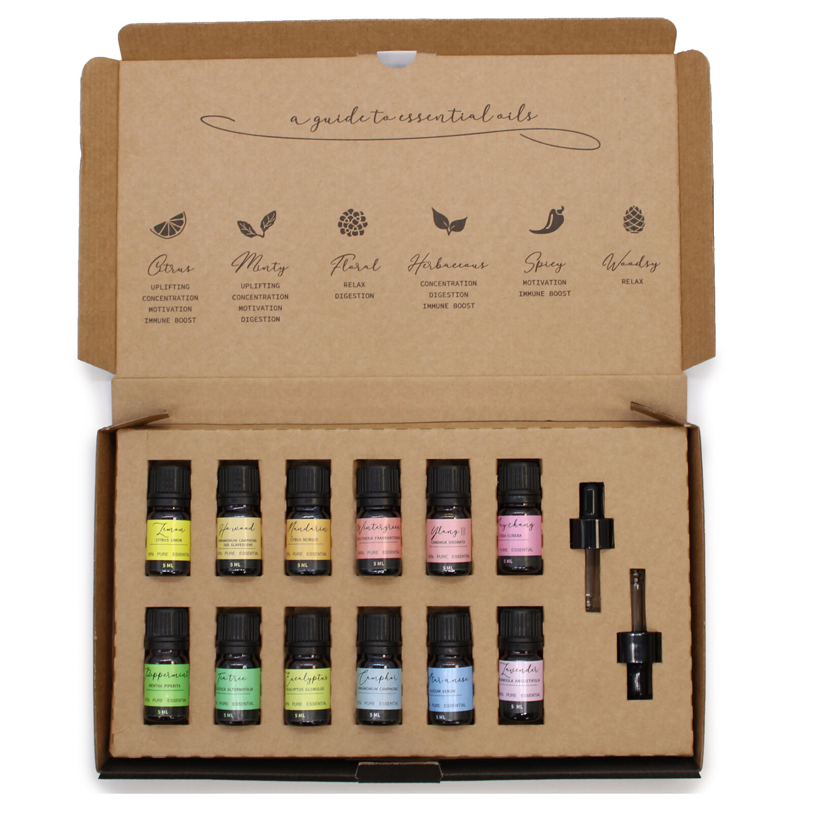 Aromatherapy Essential Oil Starter Kit 12 x 5ml Bottles, Boxed, Gift | eBay