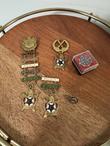 Vintage Gold Tone Masonic DeMolay Merit Medal Colorful Enamel Bars Lot ...