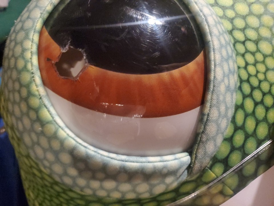 Geico Gecko Mascot Costume by Olympus Mascot Division | eBay