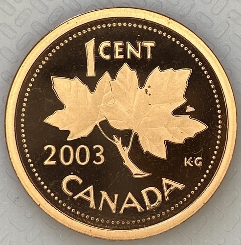 2003 CANADA 1 CENT PROOF PENNY HEAVY CAMEO COIN | eBay