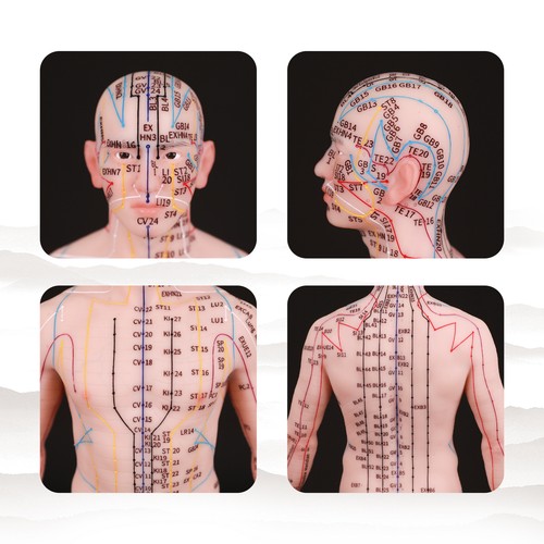 Acupuncture Model 21.65" Human Acupoint Silicone Doll Chinese Medicine ...