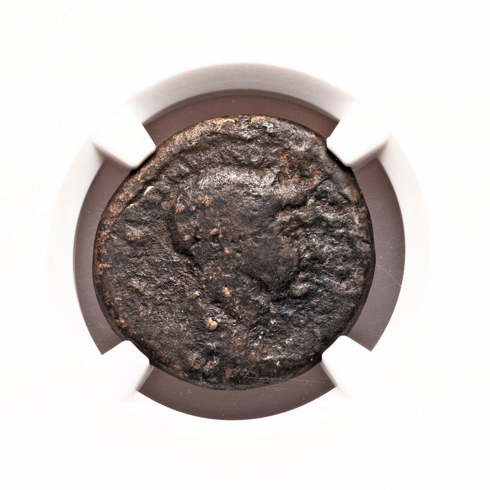 Syria SELEUCIA PIERIA 98-117 AD TRAJAN AE25 NGC VG | eBay UK