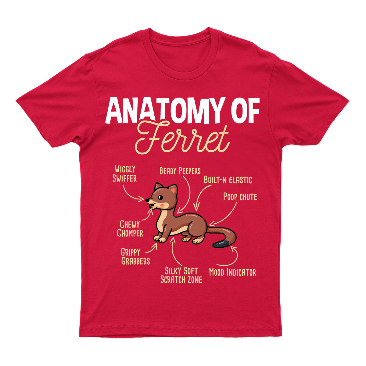 Anatomy Of a Ferret Dog Medical Science Biology Body Organs Mens T ...