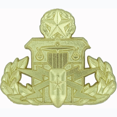 Hazardous Devices Technician HDT "Bomb Squad" Master 3D Uniform Pin in ...