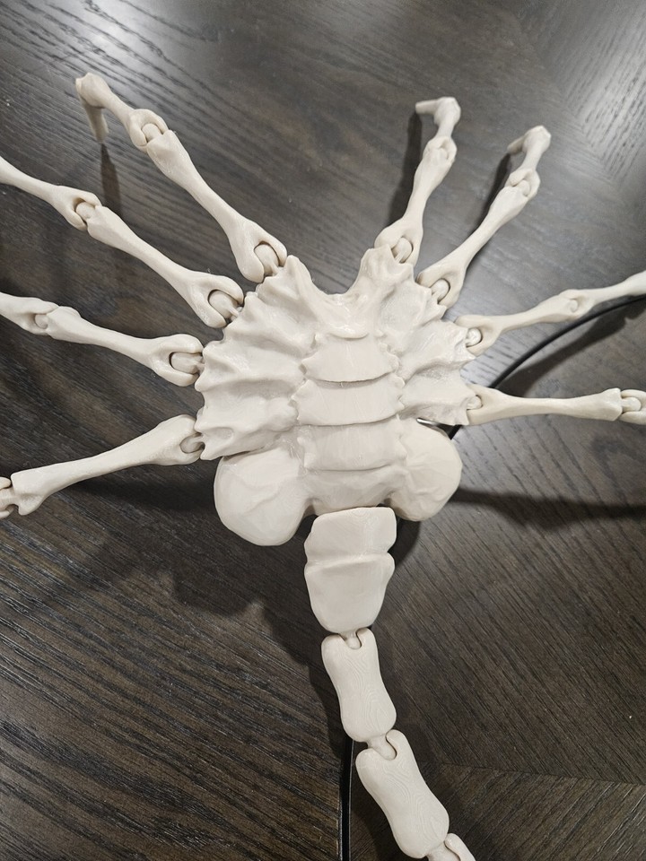 Alien Facehugger - Life Size & Life Like- 3D Printed Custom Replica ...
