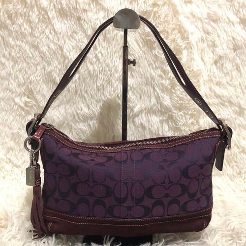 Coach One Shoulder Bag Signature | eBay