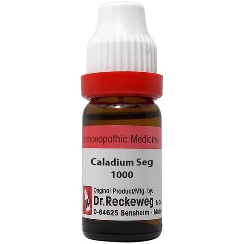 Dr. Reckeweg Caladium Seg Dilution 1000 CH (11ml) Homeopathic free ...