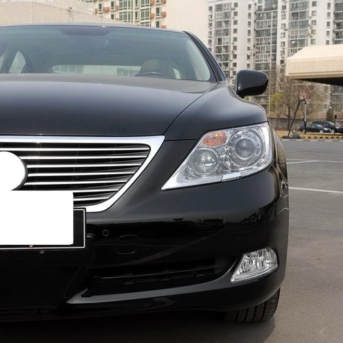 Left Side Front Bumper Radiator Lower Grille For Lexus LS460 06-09 ...