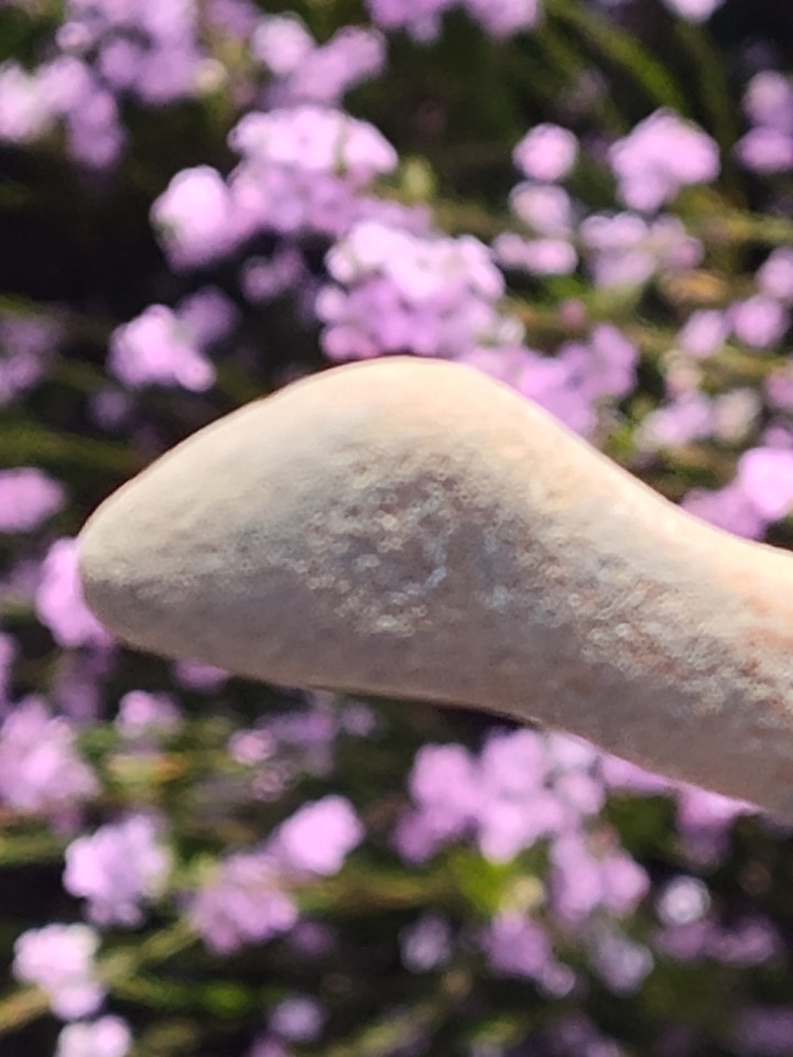 Indian Artifacts Atlatl Spur Ohlone Indian Artifacts California | eBay