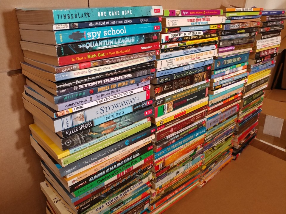 Lot of 20 Chapter Books for BOYS Youth Early Reader Young Adults ...