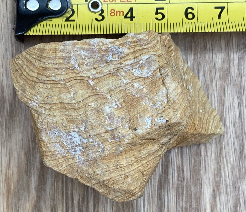Mineral Specimen, Banded Sandstone/Calcite in Limestone, 68mm, 117g ...