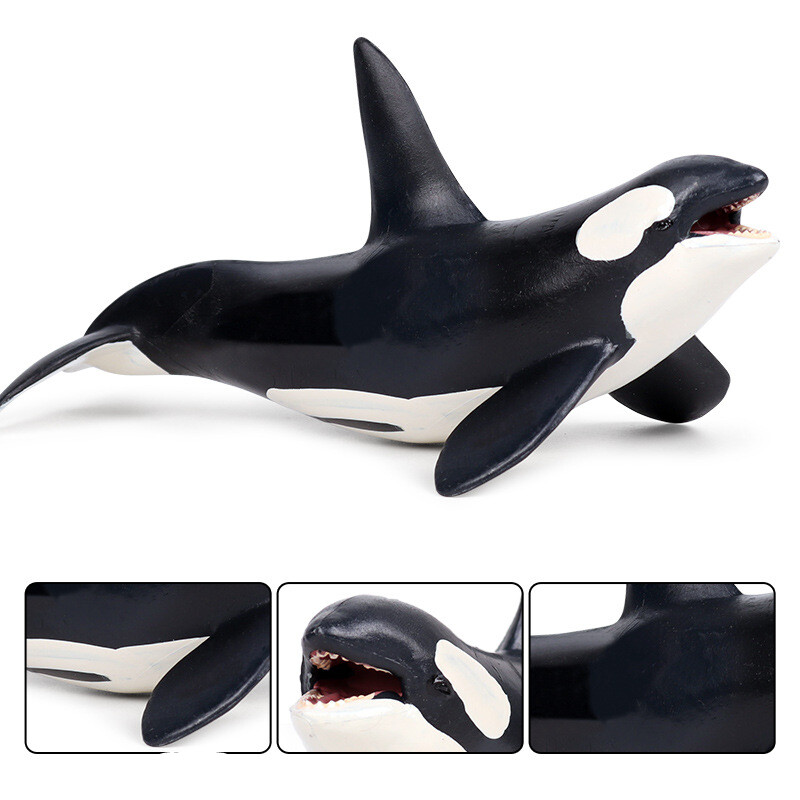 Killer Whale Grampus Orcinus orca Figure Animal Model Collector Toy ...