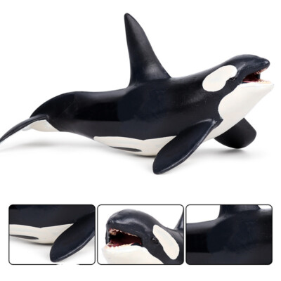 Killer Whale Grampus Orcinus orca Figure Animal Model Collector Toy ...