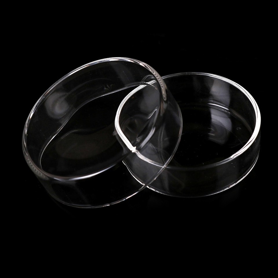 60mm Glass tissue petri dish culture dish culture plate with cover @SNS ...