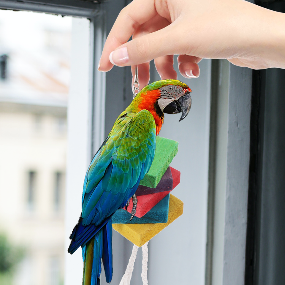 50 Pieces Parrot Chewing Toy Bird Creative Toys Wood Bite Pendant | eBay UK