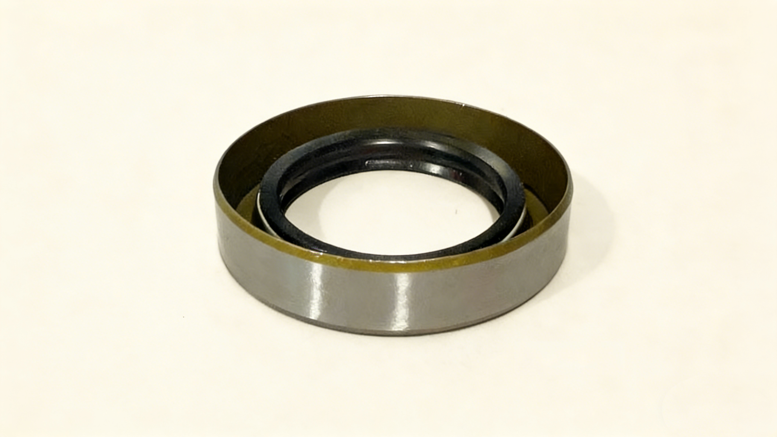 (Qty 2) 10-19 171255TB Double Lip Seals for 3500lb Trailer Axles #84 ...