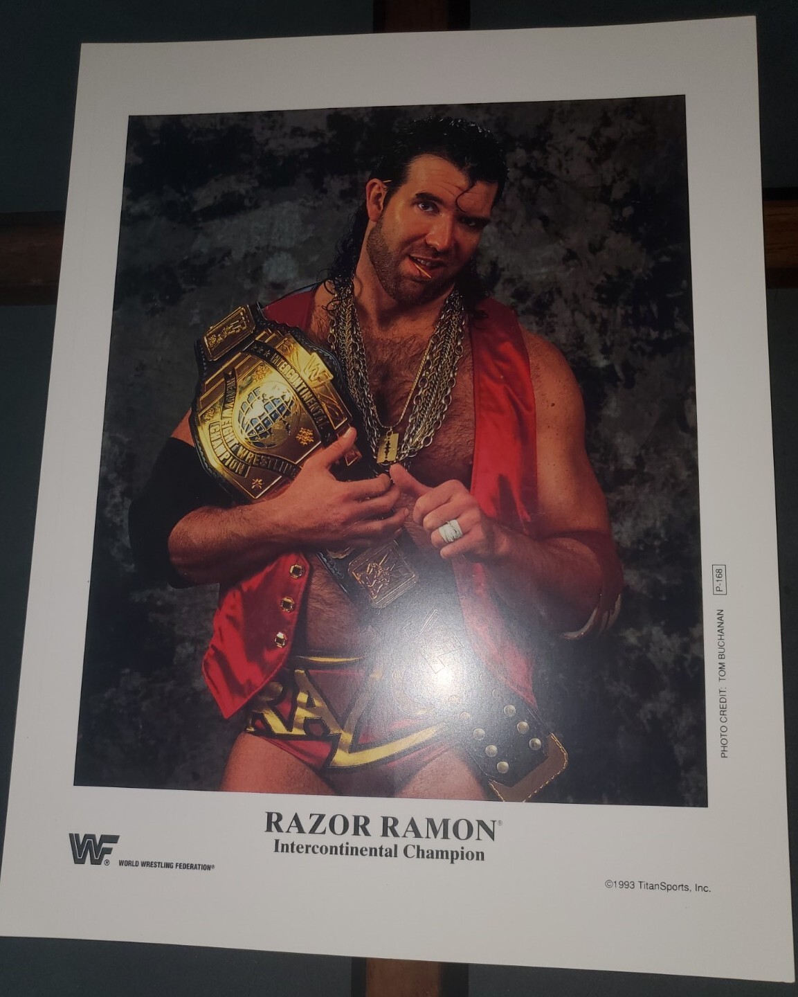 WWE WWF RAZOR RAMON VTG Promo Photo figure toy 🔥 Intercontinental CHAMP ...