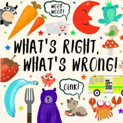 What'S Right, What'S Wrong!: a Fun Guessing Game for 2-4 Year Olds ...