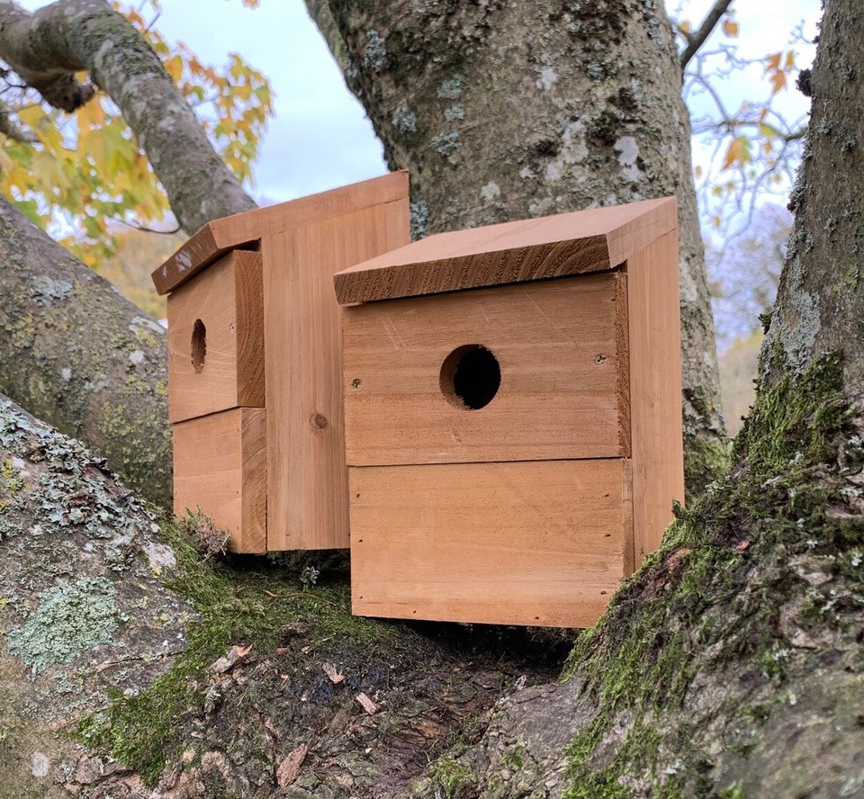 Bird Nest Box Wood Wooden Nesting Boxes Wild Birdhouse Straw Robin ...