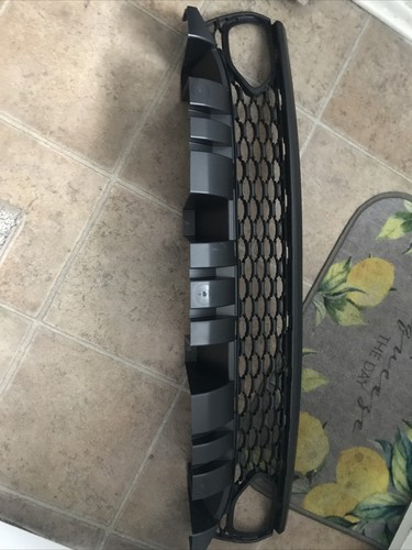 Grille Mopar 68417502AA Fits 2019 Dodge Charger for sale online | eBay