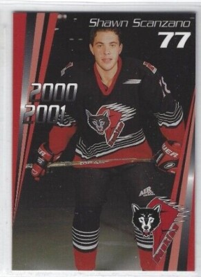 2000-01 Rouyn-Noranda Huskies (QMJHL) Shawn Scanzano | eBay