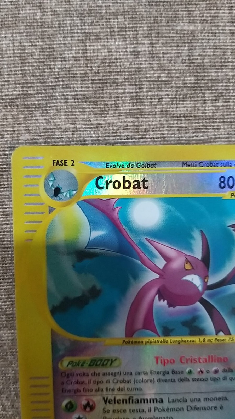 Crobat Crystal Type, Skyridge, 147/144, reverse holo | eBay