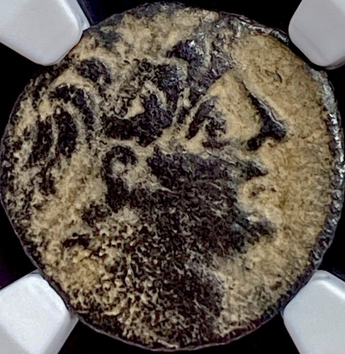 NGC Certified 114-95 BC Ancient Seleucid Kingdom Coin Antiochus IX AE18 ...