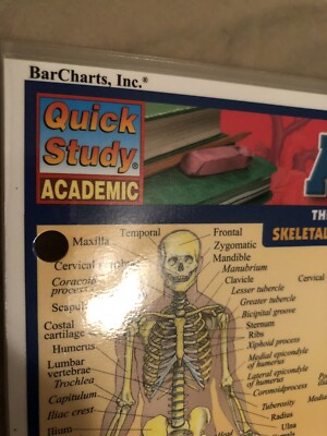 ANATOMY QUICK STUDY Academic Comprehensive Guide Laminated Charts | eBay