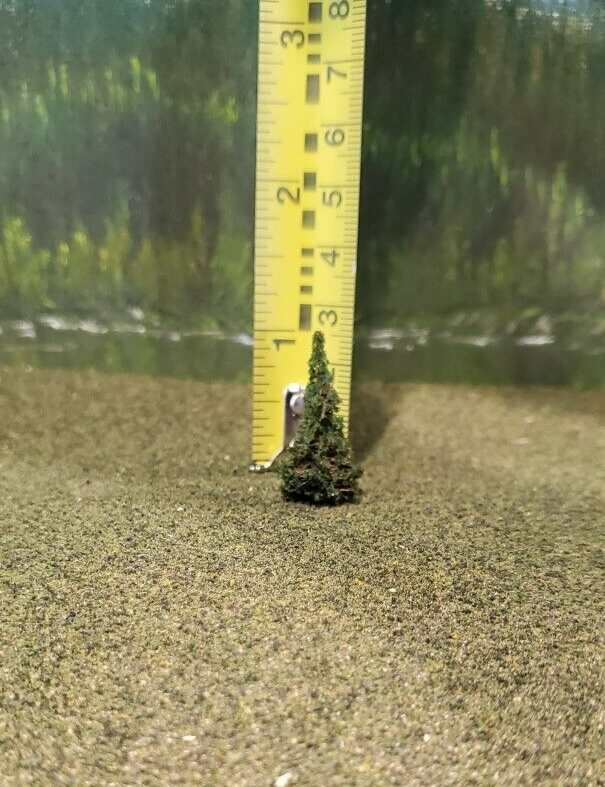 MOOSE CREEK TREES - Fir Pine Trees (1" x 10 Trees) Model Trees - HO N Z ...