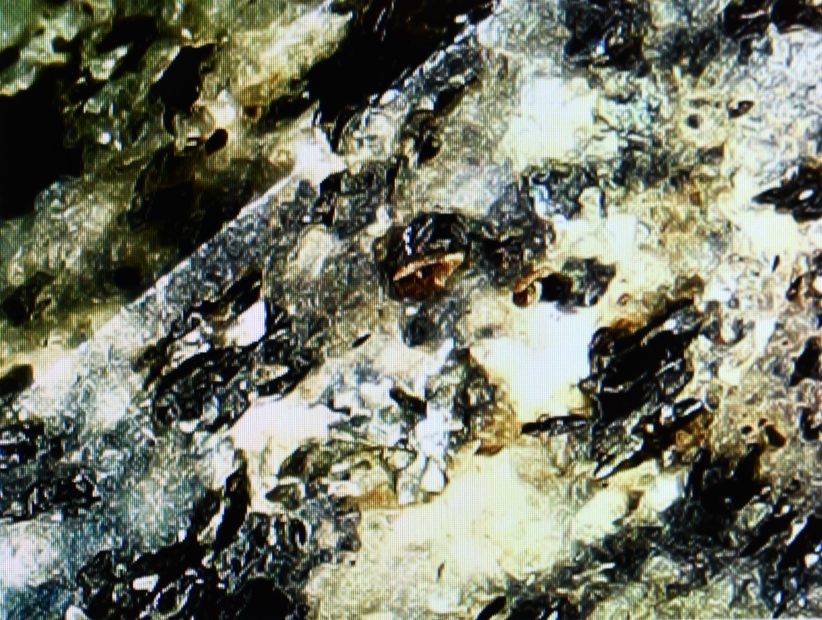 Hand Carved Gold Dominant Tower 1800s Ore Knob Copper Mine Appalachian ...