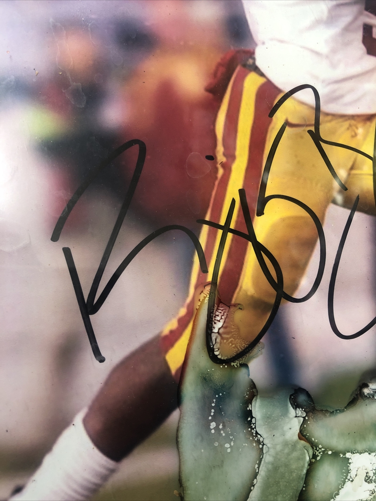 USC Trojans Reggie Bush #5 Signed Picture Signature Autograph | eBay