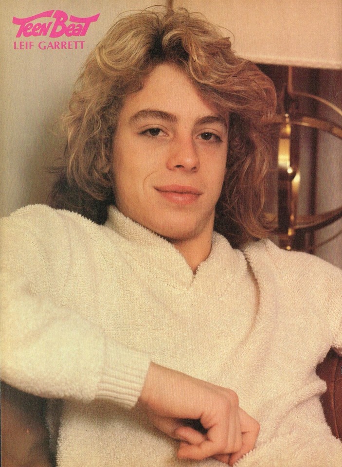 Adam Rich - Leif Garrett - Eight is Enough - 11" x 8" Pinup Mini-Poster ...