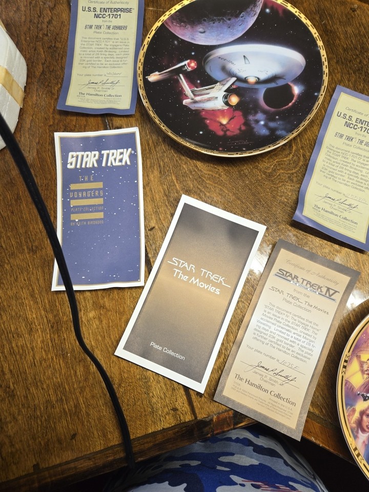 Hamilton Collection Star Trek Plate Set “The Voyagers” 1994 - 5 Of 10 ...